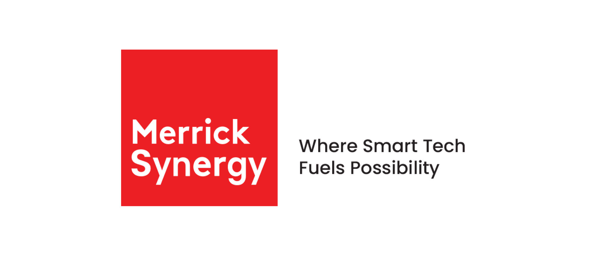 Merrick Synergy | Snowflake Partners