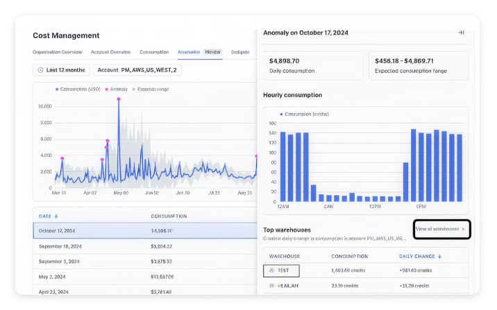 FinOps on Snowflake: Built-In Cost and Performance Control