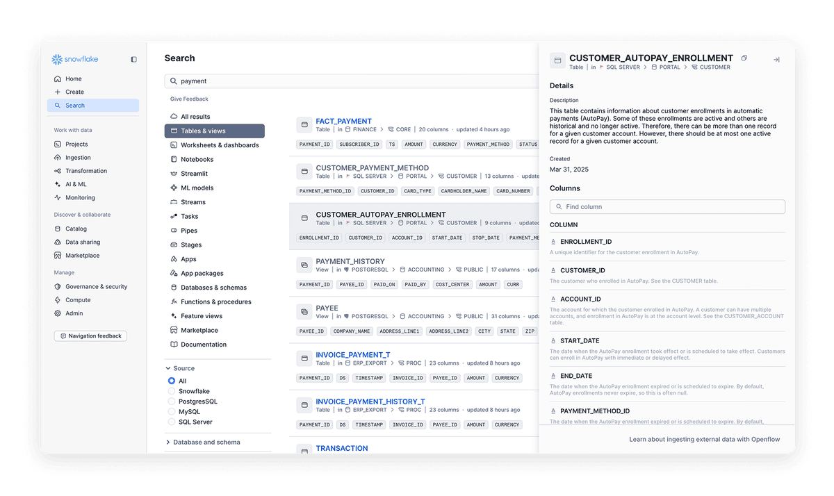 Snowflake Horizon Catalog: Data Governance & Discovery