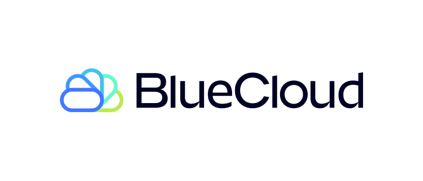 BlueCloud Services Inc | Snowflake Partners