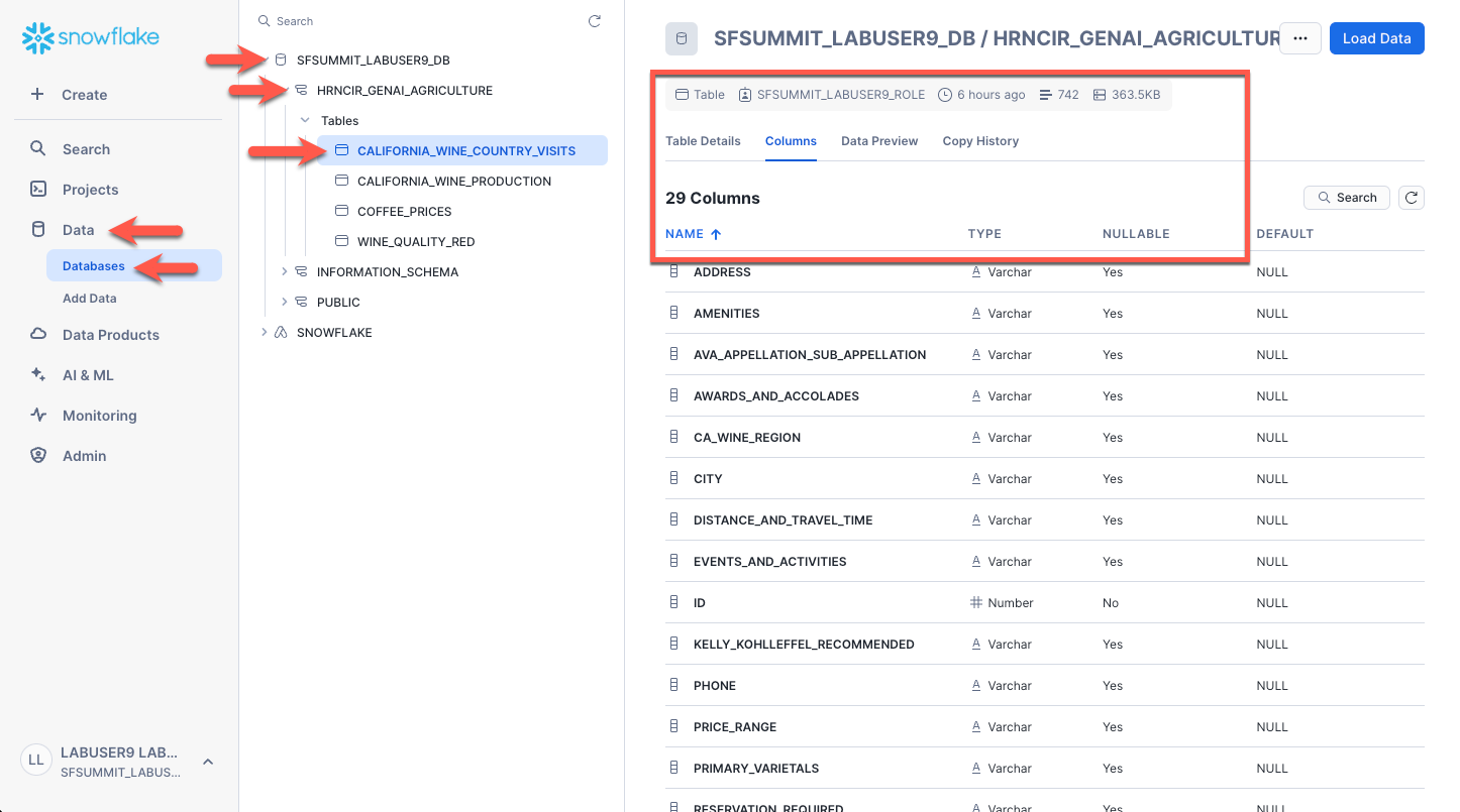 Build a RAG-based, GenAI chatbot using Structured Data with Snowflake ...