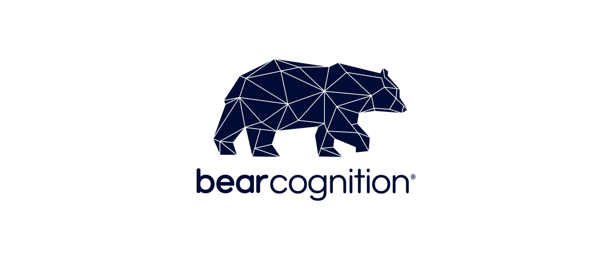 Bear Cognition Inc. | Snowflake Partners