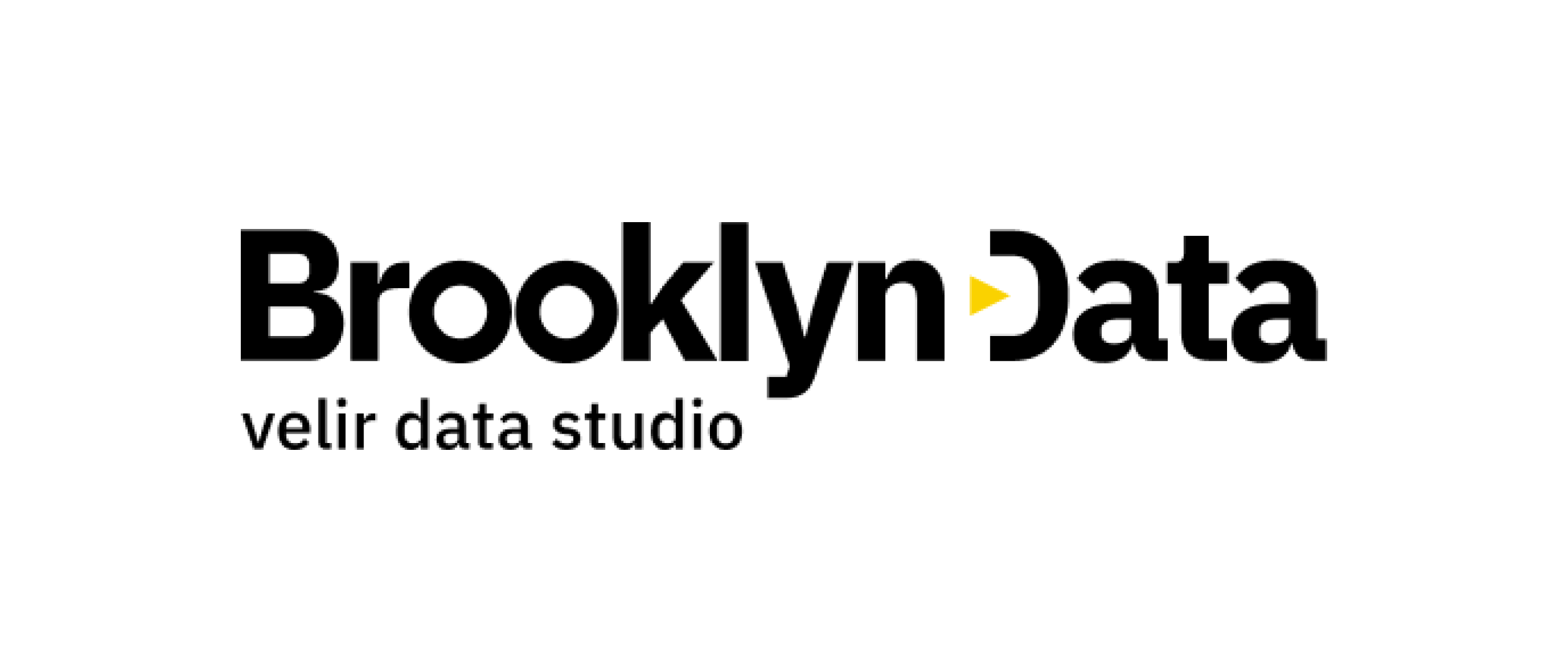 Brooklyn Data Company | Snowflake Partners