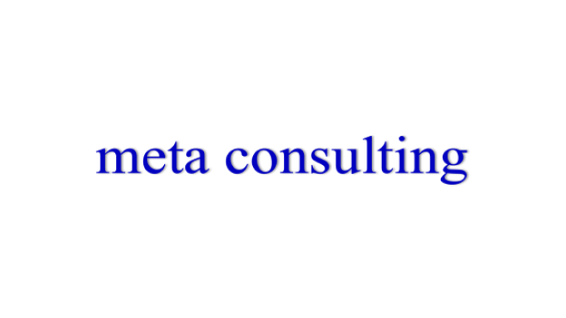 Meta Consulting Hungary | Snowflake Partners